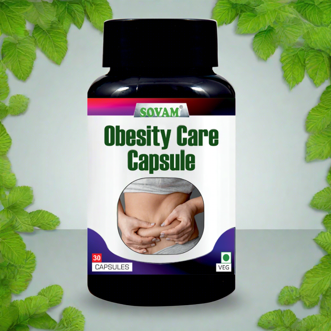 Obesity Care Capsule - 30 Capsule – SOVAM AYURVEDA