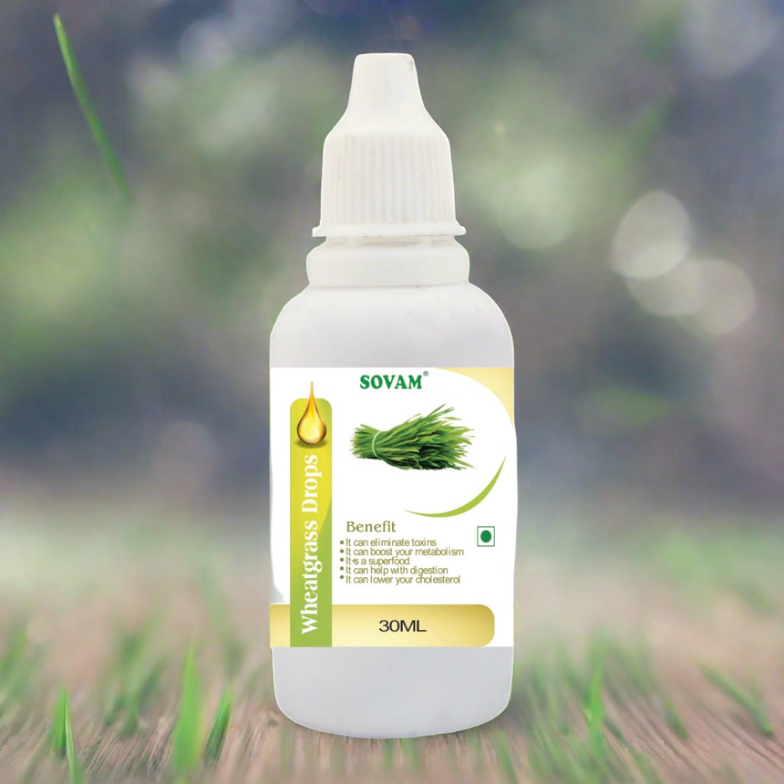 Authentic Ayurvedic Products for Health & Wellness | Sovam Ayurveda ...